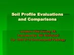 PPT - The Soil Profile PowerPoint Presentation, free download - ID:5300771