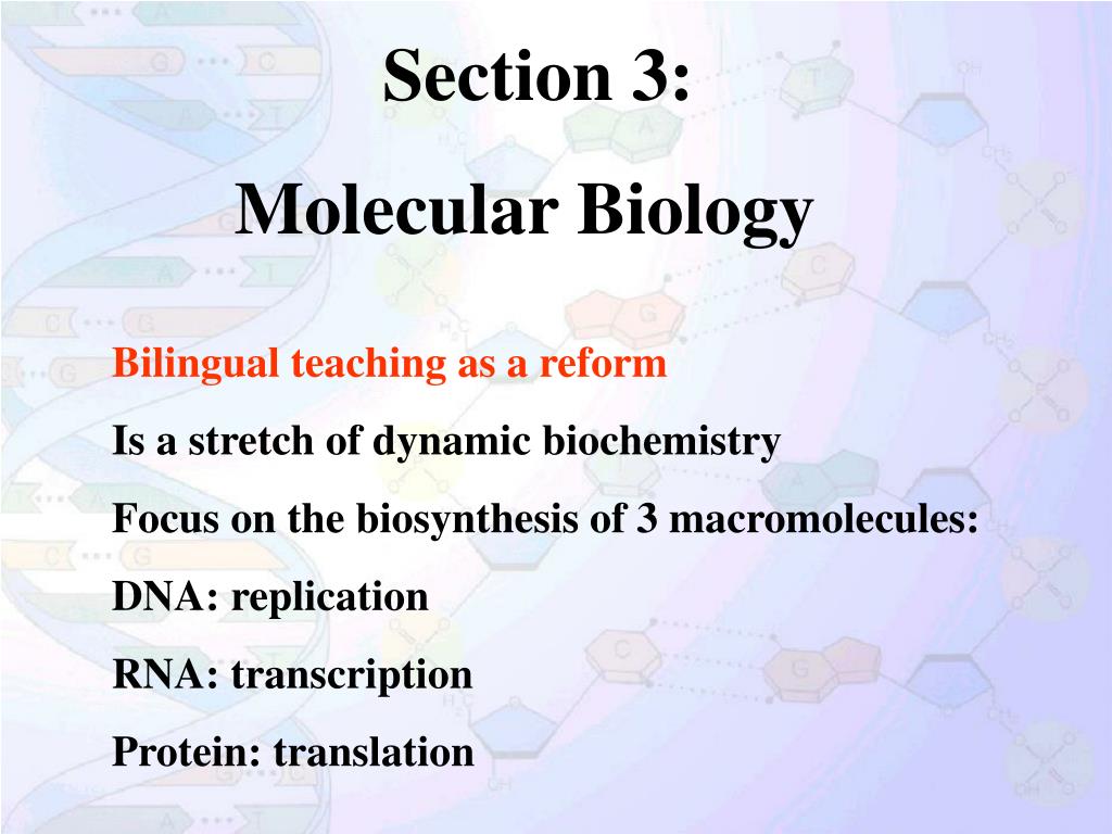 PPT - Section 3: Molecular Biology PowerPoint Presentation, free ...
