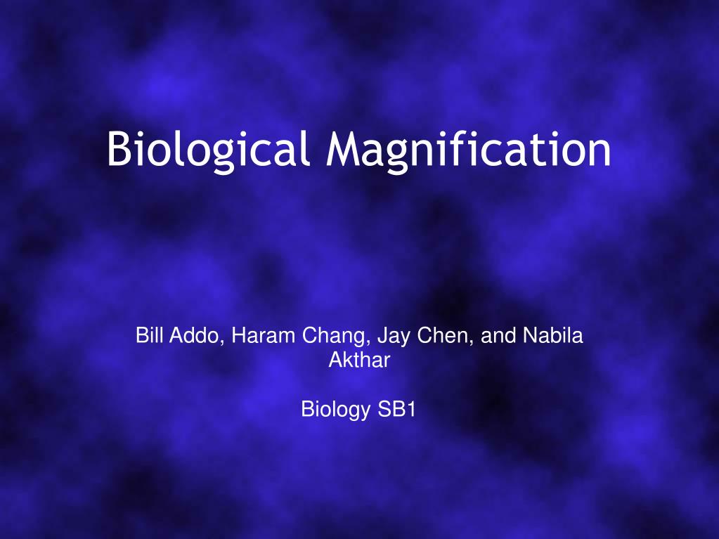 PPT - Biological Magnification PowerPoint Presentation, free download ...