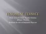 PPT - Fenomene ale naturii PowerPoint Presentation, free download - ID ...