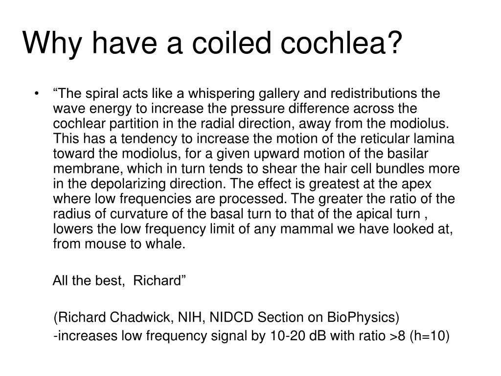 PPT - The Coiled Cochlea: Enhancing Low-Frequency Signal Processing ...