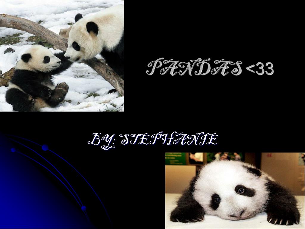 PPT - PANDAS