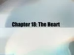 PPT - Chapter 18 The Heart and Cardiovascular Function Lecture 3 ...