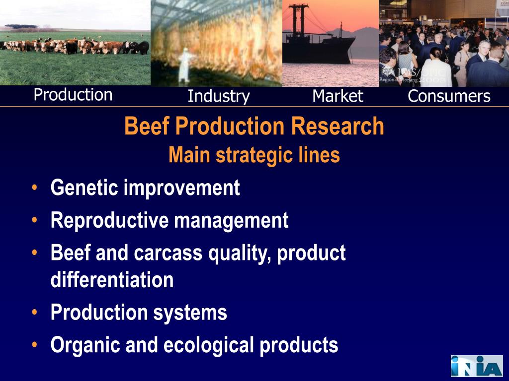 PPT - Beef Production Research Main strategic lines PowerPoint ...