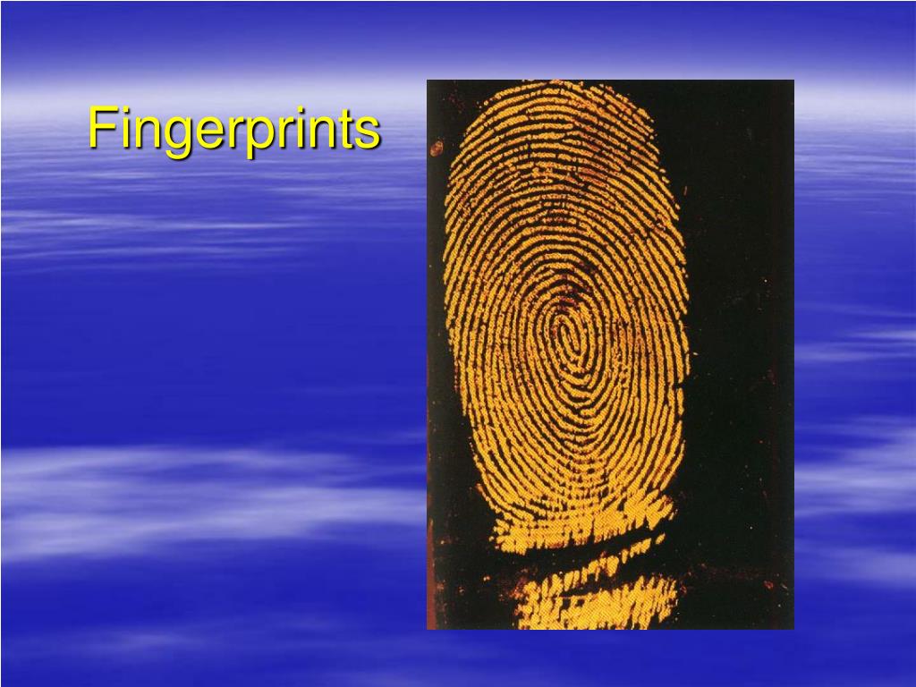 PPT - Fingerprints PowerPoint Presentation, free download - ID:3930859