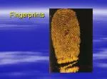 PPT - Fingerprints PowerPoint Presentation, free download - ID:772362