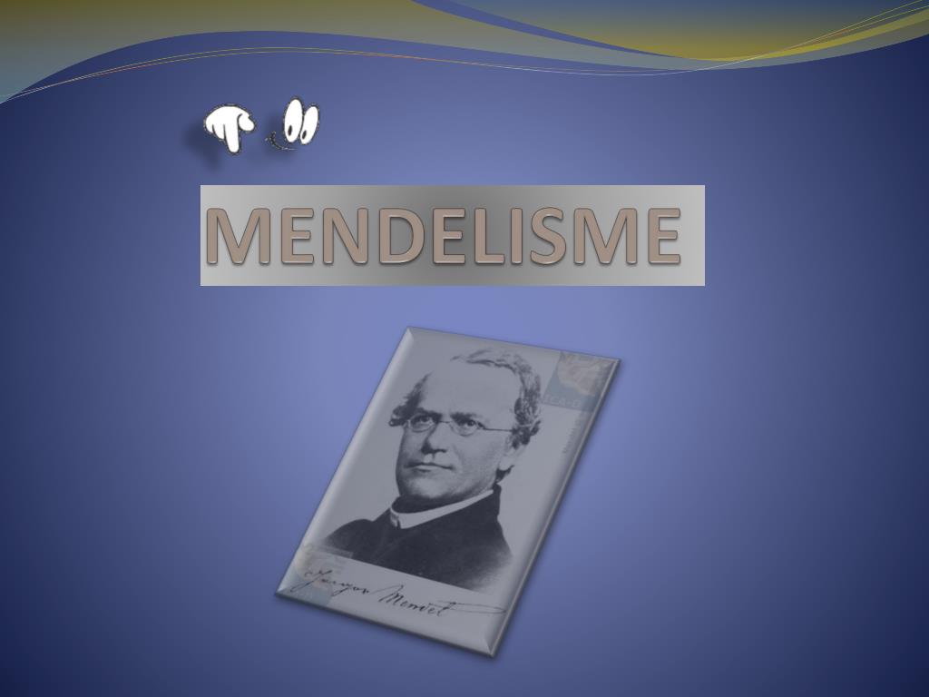 PPT - MEND E LISME PowerPoint Presentation, free download - ID:3936638
