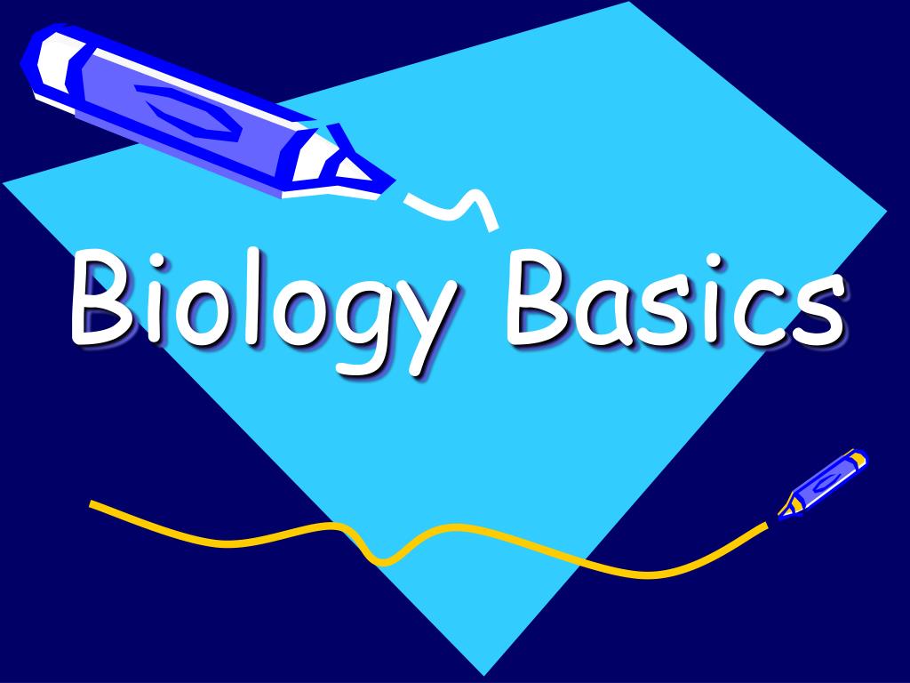 PPT - Biology Basics PowerPoint Presentation, free download - ID:3940482