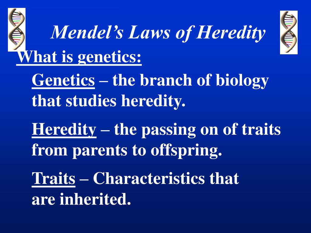 PPT - Mendel’s Laws of Heredity PowerPoint Presentation, free download ...