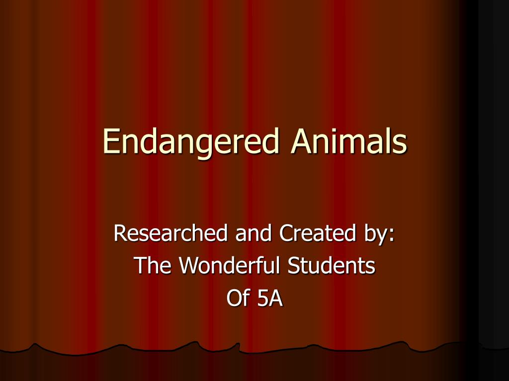 PPT - Endangered Animals PowerPoint Presentation, free download - ID ...