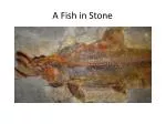 PPT - The Stone Fish PowerPoint Presentation, free download - ID:2450811