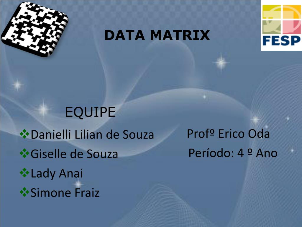 PPT - DATA MATRIX PowerPoint Presentation, free download - ID:3942414