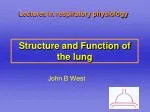 PPT - Lung Function PowerPoint Presentation, free download - ID:2459873