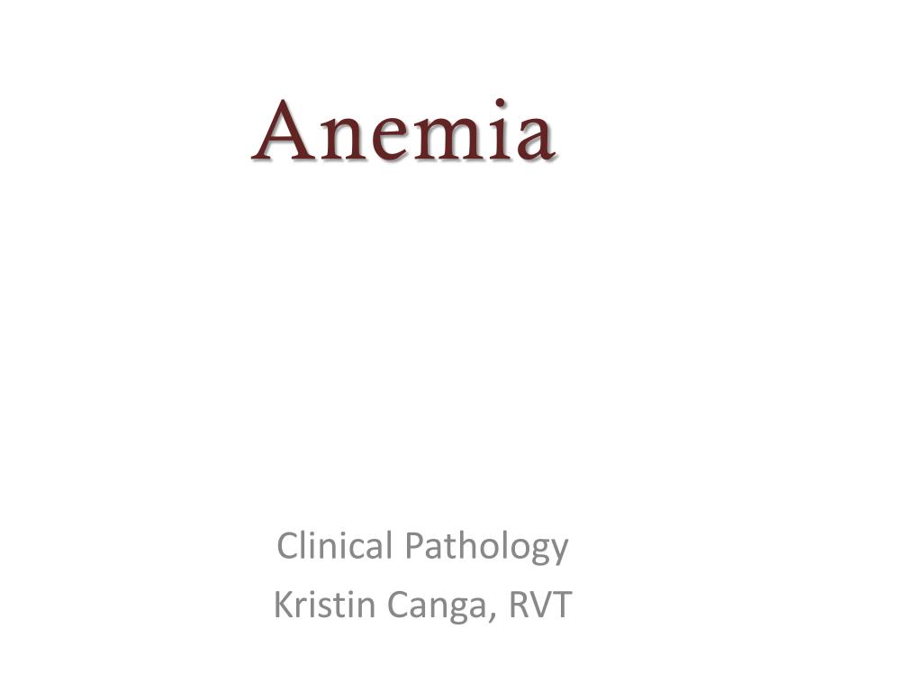 PPT - Anemia PowerPoint Presentation, free download - ID:3947130