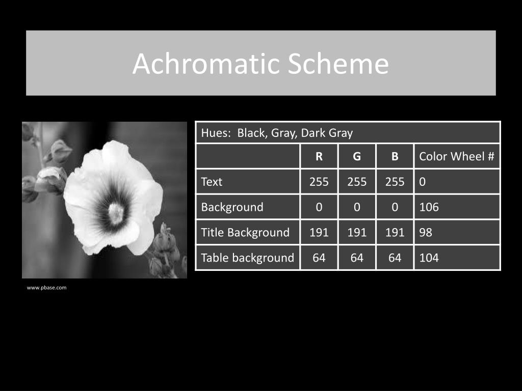 PPT - Achromatic Scheme PowerPoint Presentation, free download - ID:3953585