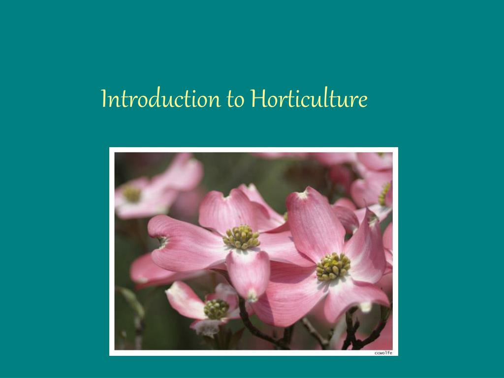 PPT - Introduction to Horticulture PowerPoint Presentation, free ...