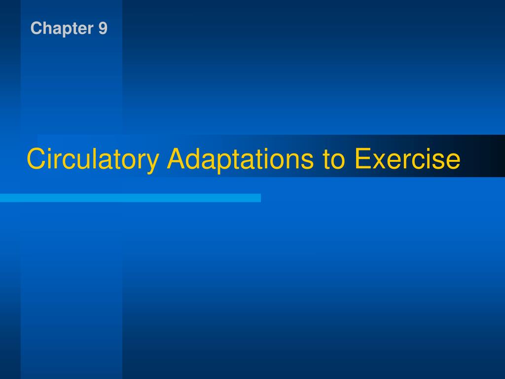 PPT - Circulatory Adaptations to Exercise PowerPoint Presentation, free ...