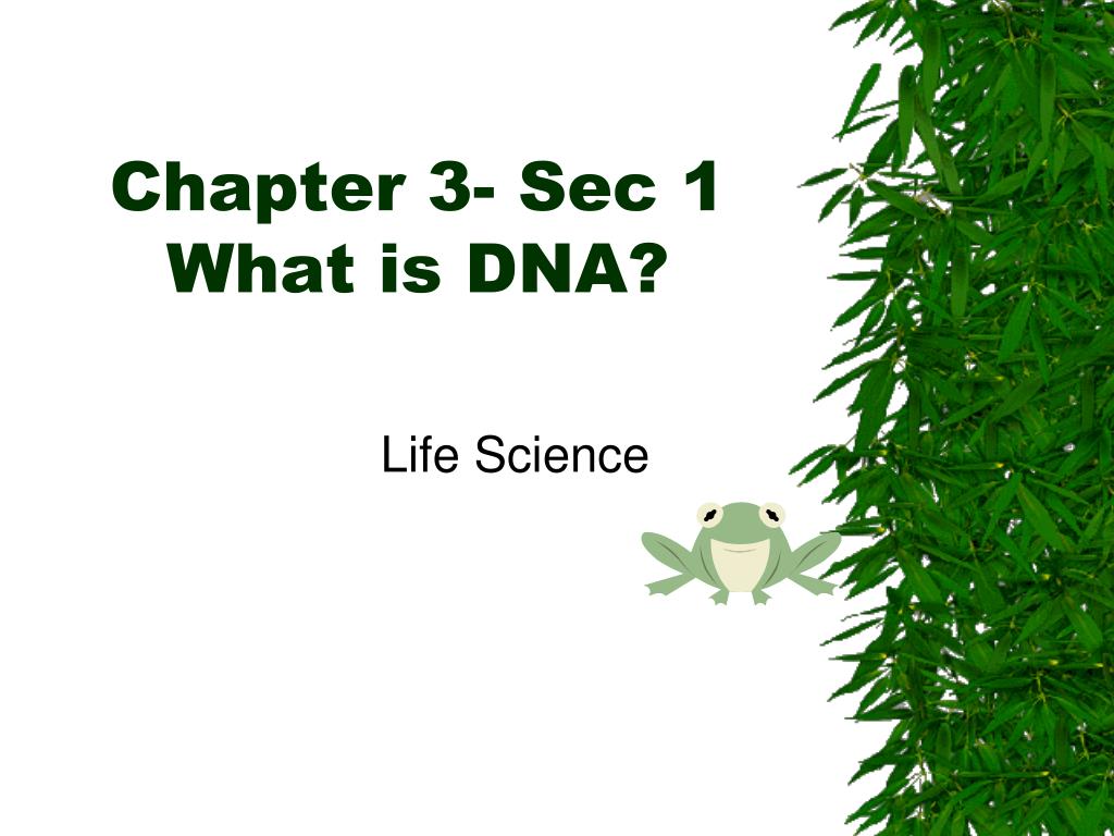 PPT - Chapter 3- Sec 1 What is DNA? PowerPoint Presentation, free ...