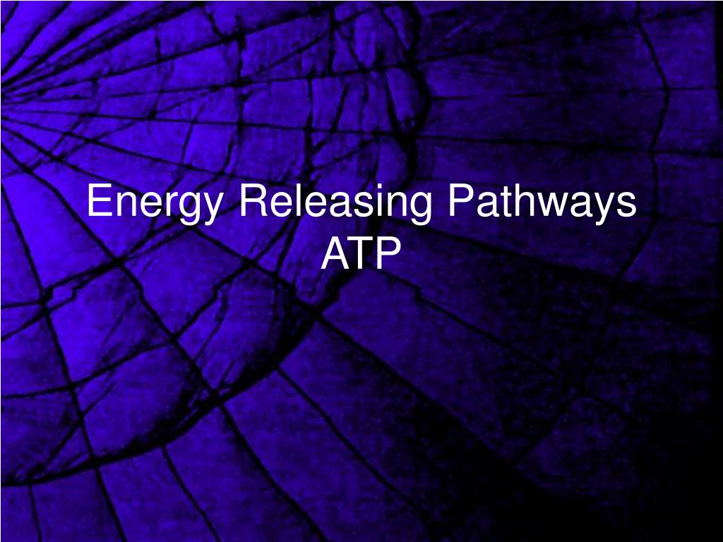 PPT - Energy Releasing Pathways ATP PowerPoint Presentation, free ...