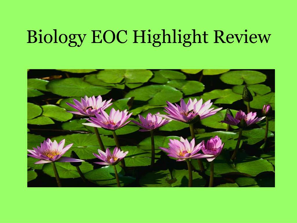 PPT - Biology EOC Highlight Review PowerPoint Presentation, free ...