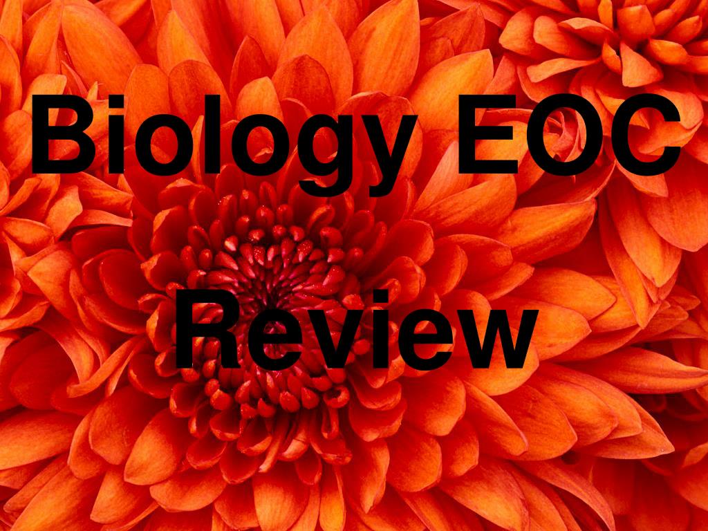 PPT - Biology EOC Review PowerPoint Presentation, free download - ID ...