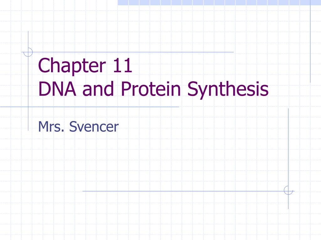 PPT - Chapter 11 DNA and Protein Synthesis PowerPoint Presentation ...
