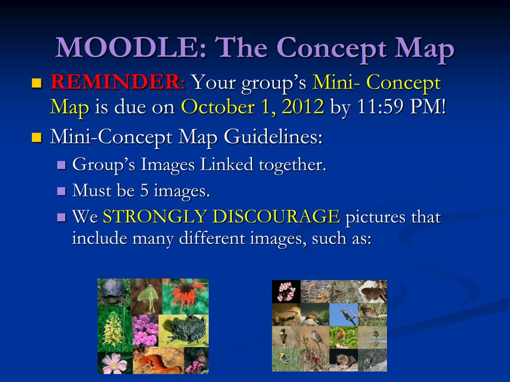 PPT - MOODLE: The Concept Map PowerPoint Presentation, free download ...
