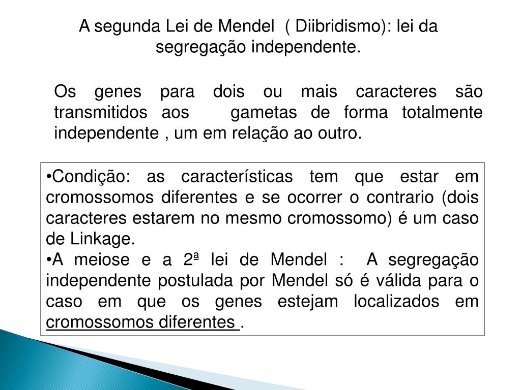 PPT - A segunda Lei de Mendel ( Diibridismo): lei da segregaÃ§Ã£o ...