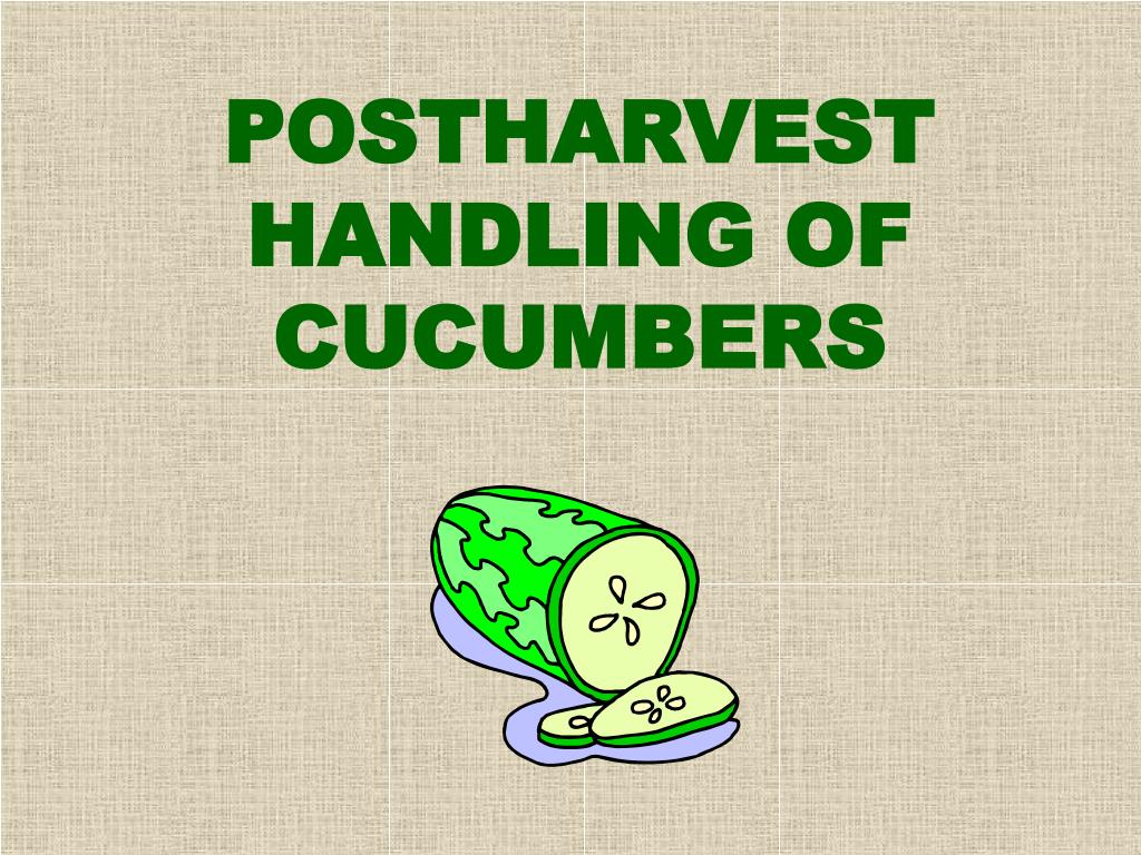 PPT - POSTHARVEST HANDLING OF CUCUMBERS PowerPoint Presentation, free download - ID:3967008