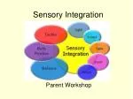 PPT - Workshop on sensory integration PowerPoint Presentation - ID:9097003