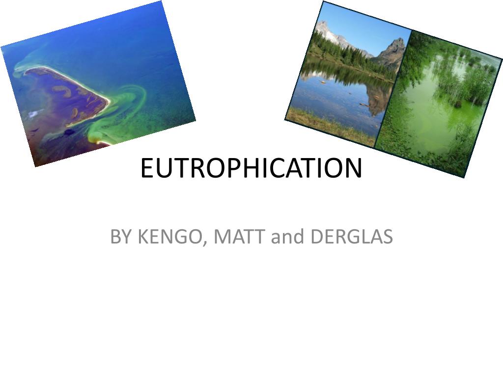 PPT - EUTROPHICATION PowerPoint Presentation, free download - ID:3968132