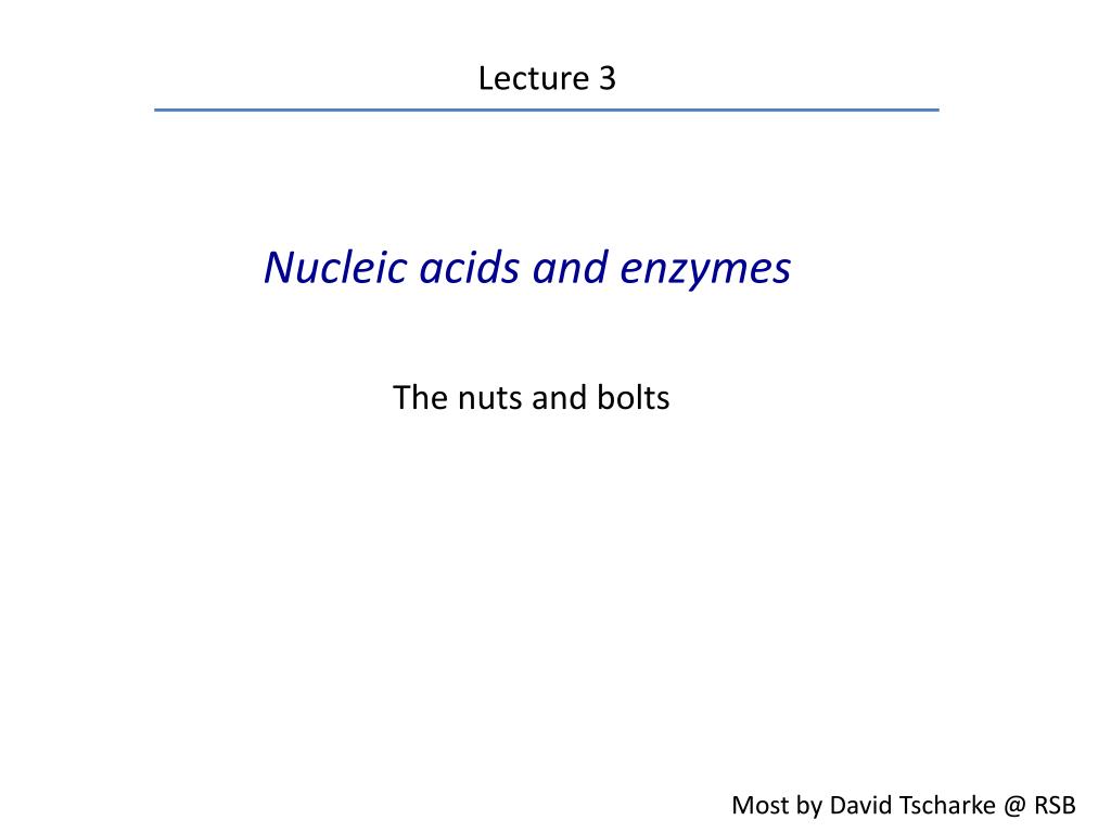 PPT - Nucleic acids and enzymes PowerPoint Presentation, free download ...