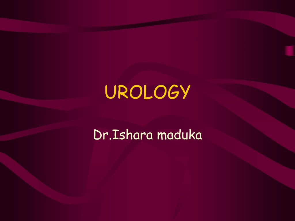 PPT - UROLOGY PowerPoint Presentation, free download - ID:3969473
