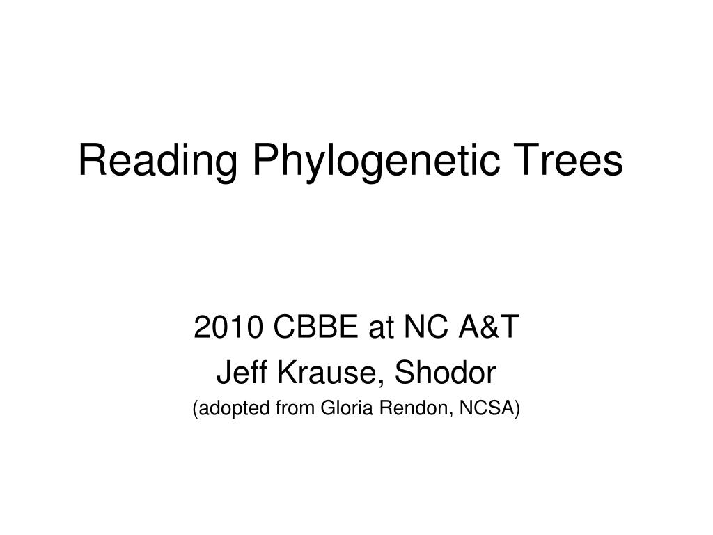 PPT - Reading Phylogenetic Trees PowerPoint Presentation, free download ...