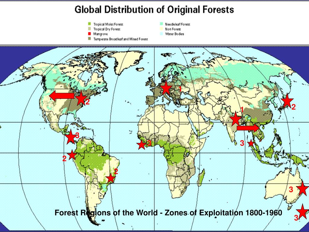 PPT - The Evolution of Forest Exploitation: 1800-1960 and Current ...