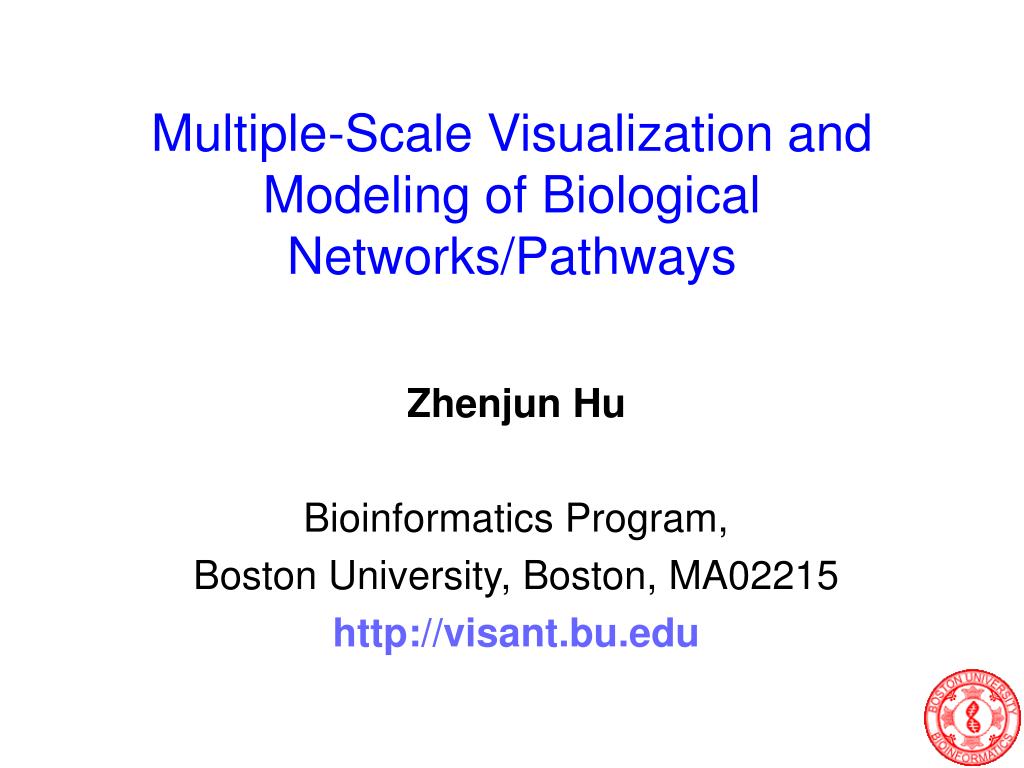 PPT - Multiple-Scale Visualization and Modeling of Biological Networks ...