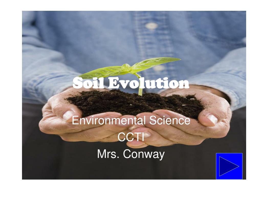 PPT - Soil Evolution PowerPoint Presentation, free download - ID:3973872