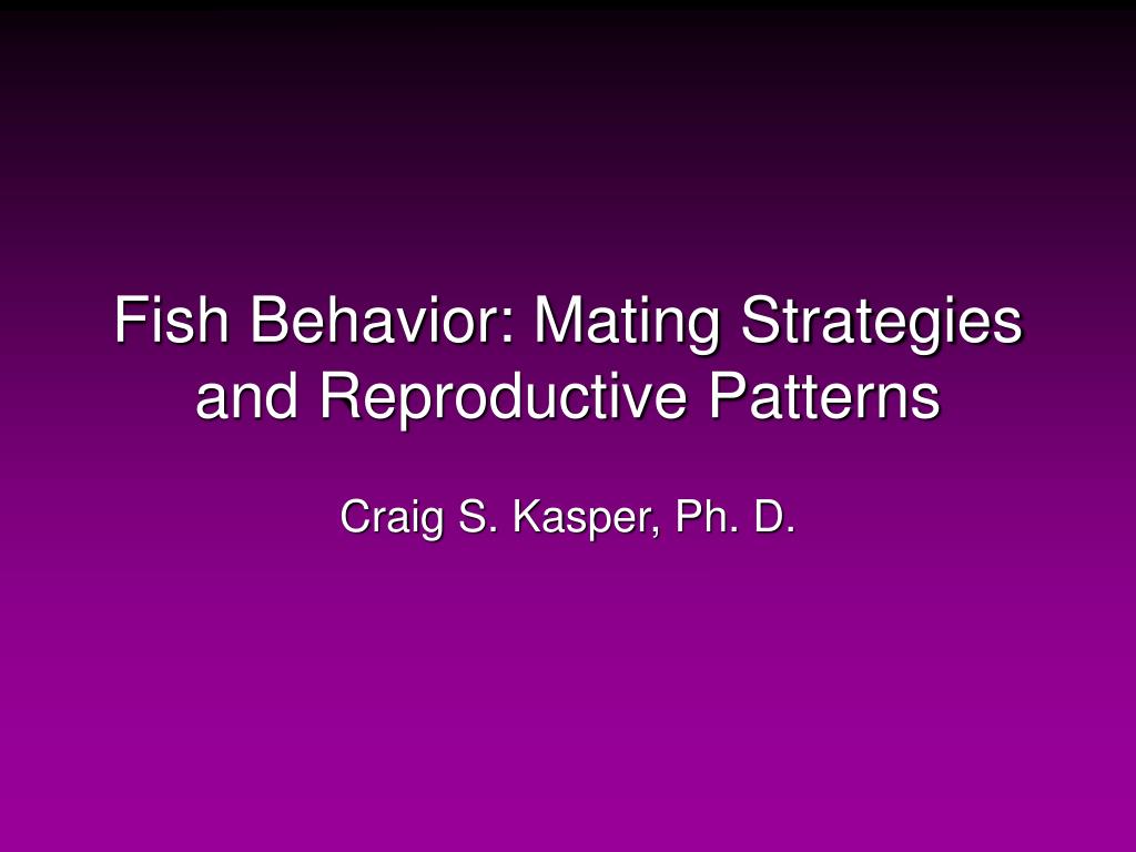 PPT - Fish Behavior: Mating Strategies and Reproductive Patterns ...