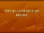 PPT - TIPURI SI FORME DE RELIEF PowerPoint Presentation, free download ...