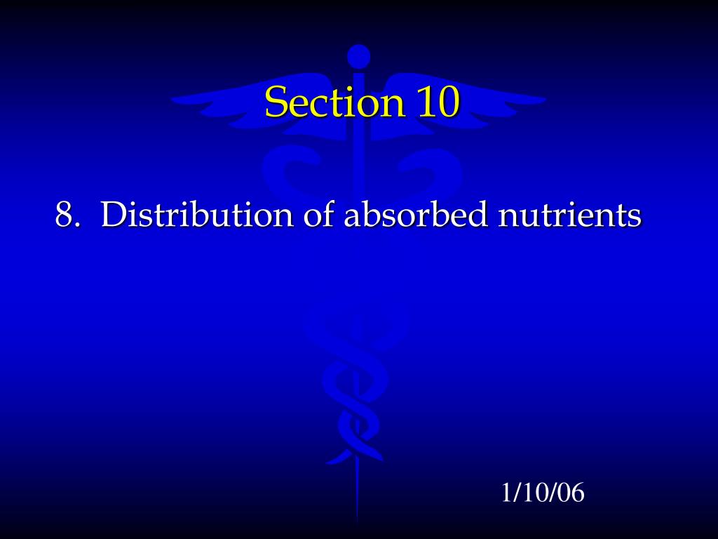 PPT - Section 10 PowerPoint Presentation, free download - ID:3982866