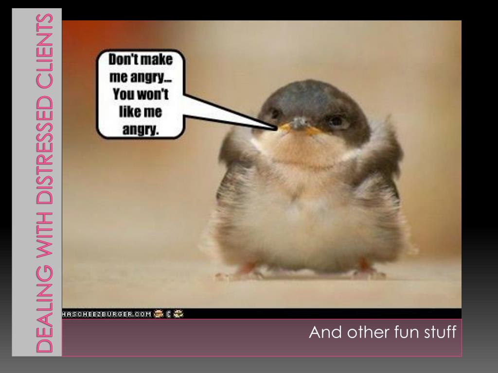 PPT - Dealing with distressed clients PowerPoint Presentation, free ...