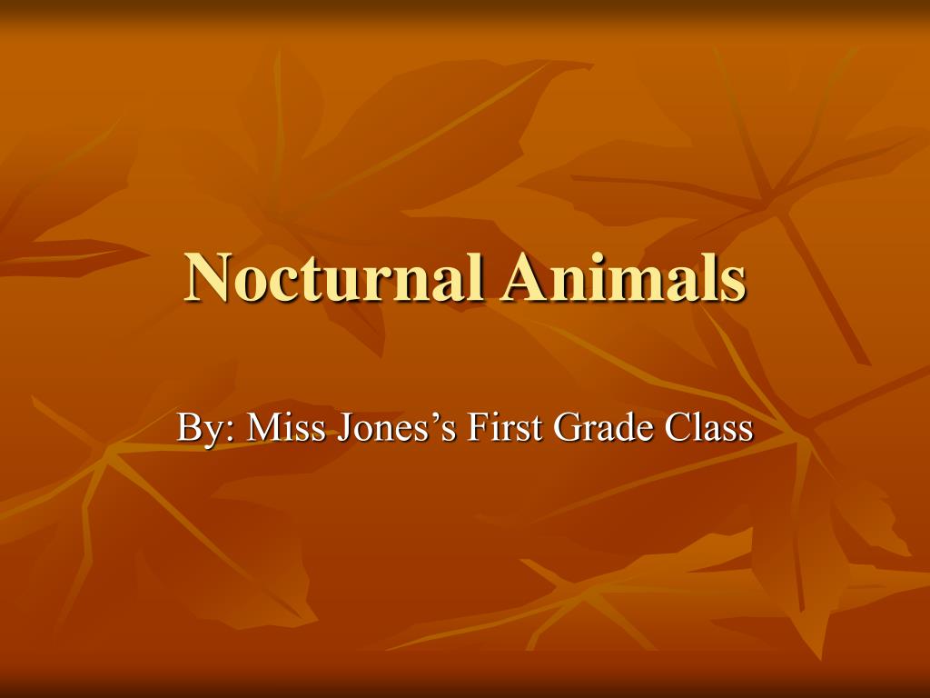 PPT - Nocturnal Animals PowerPoint Presentation, free download - ID:3983988