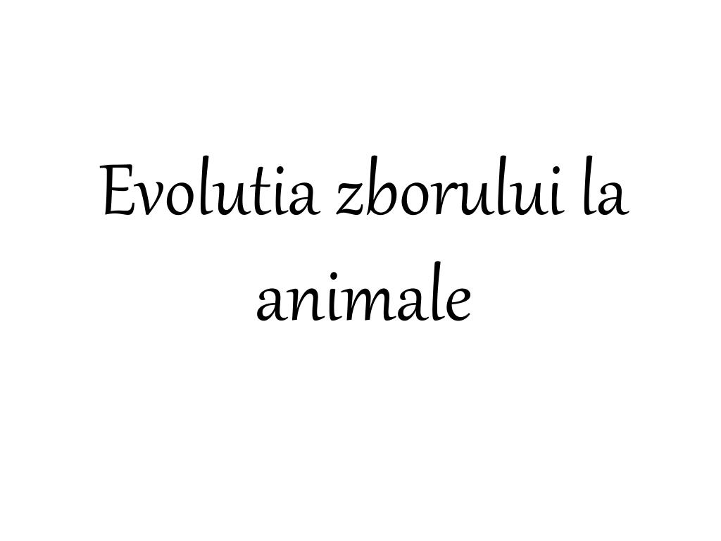PPT - Evolutia zborului la animale PowerPoint Presentation, free ...
