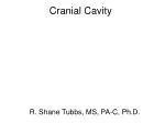PPT - Laser Cavity PowerPoint Presentation, free download - ID:3416443