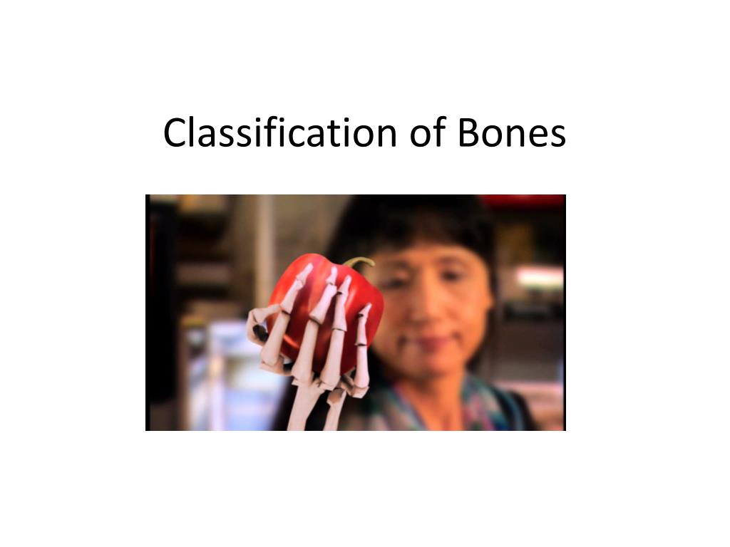 PPT - Classification of Bones PowerPoint Presentation, free download ...