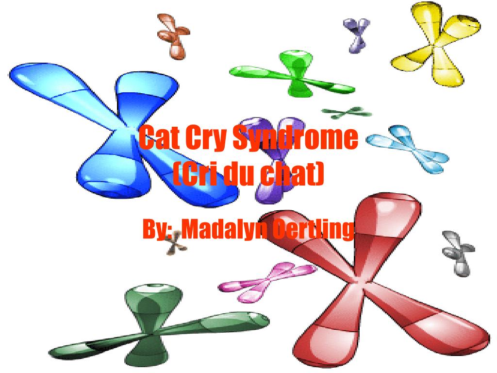 PPT - Cat Cry Syndrome (Cri du chat) PowerPoint Presentation, free ...