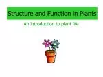 PPT - Structure of Plants PowerPoint Presentation, free download - ID ...