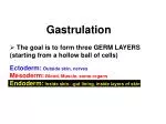 PPT - Cleavage and Gastrulation - Sea Urchin and Frog PowerPoint ...