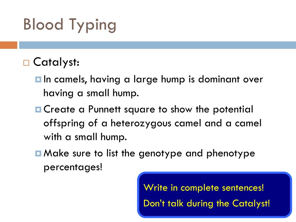 PPT - Blood Typing PowerPoint Presentation, free download - ID:4011350