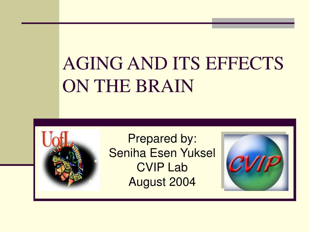 PPT - AGING AND ITS EFFECTS ON THE BRAIN PowerPoint Presentation, free ...